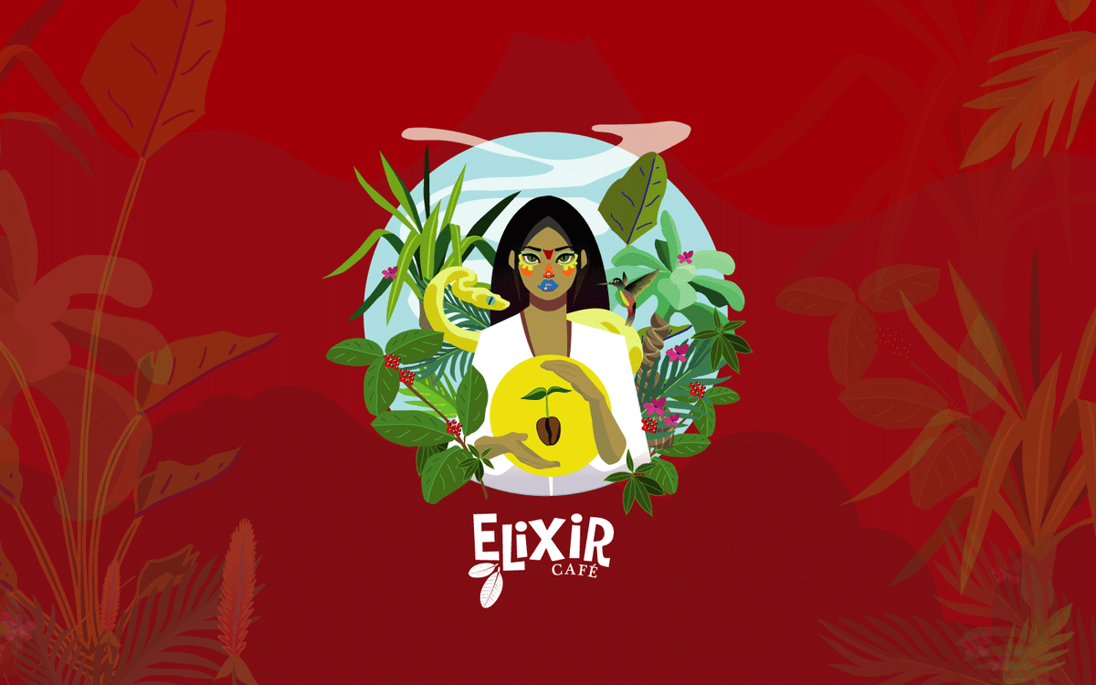 Elixir Cafe de especialidad Cápsulas compostables ecofriendly – Elixir Café